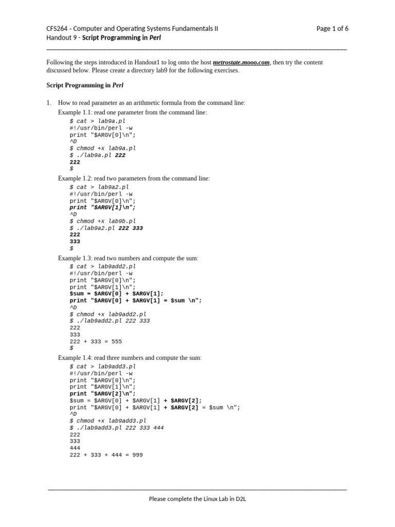 Handout09-Script Programming in Perl | PDF | Command Line Interface | Software Engineering