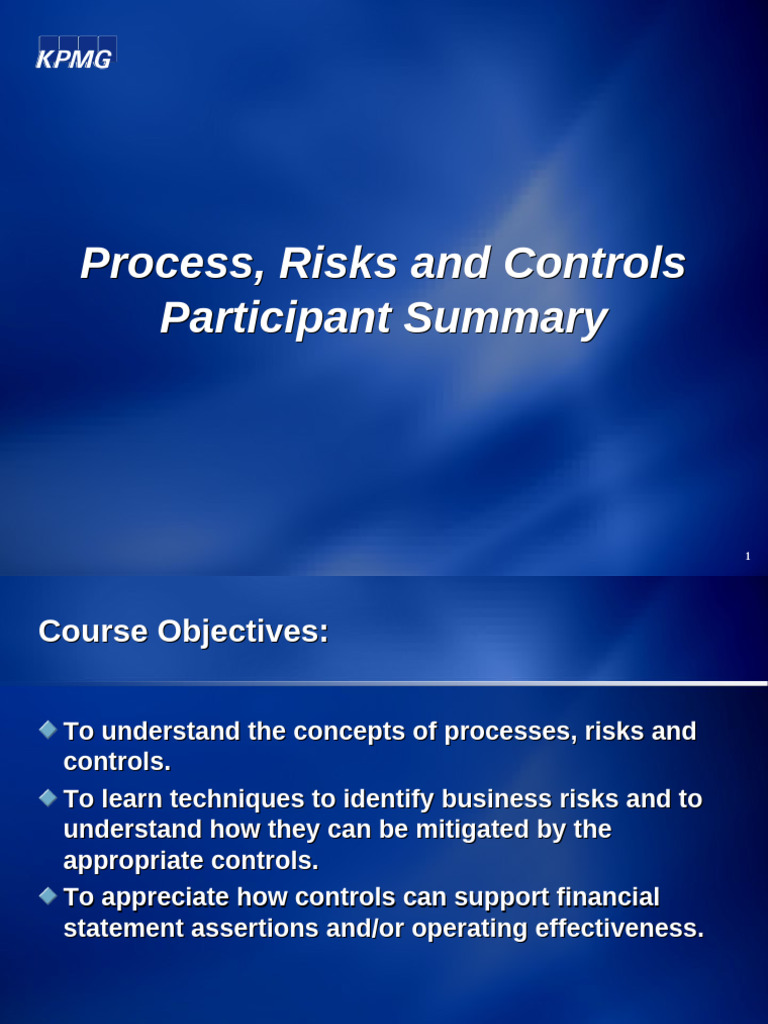 03-1 Participant Summary | PDF | Internal Control | Internal Audit