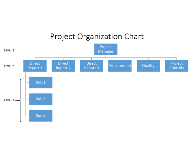 Project Organization Chart Template | PDF