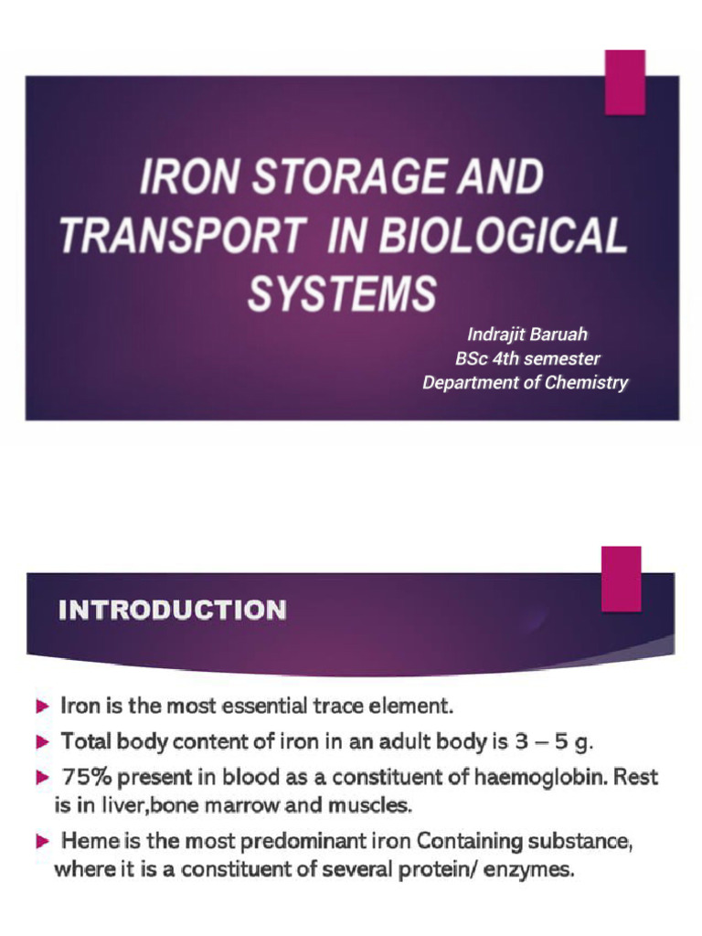 Storage and Transport of Iron | PDF