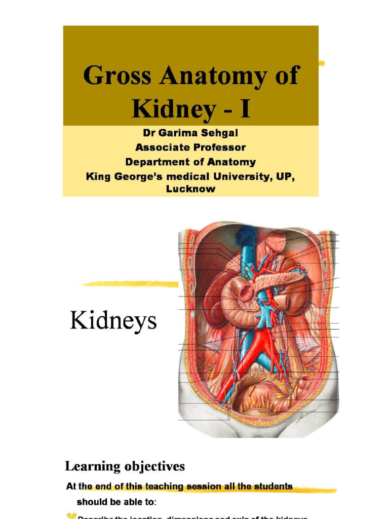 DR Garima Sehgal Kidney1 Persentation | PDF
