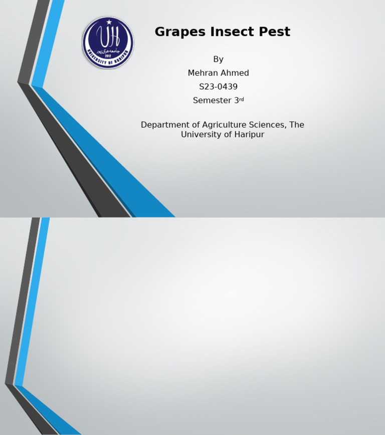 Grapes Insect Pest | PDF