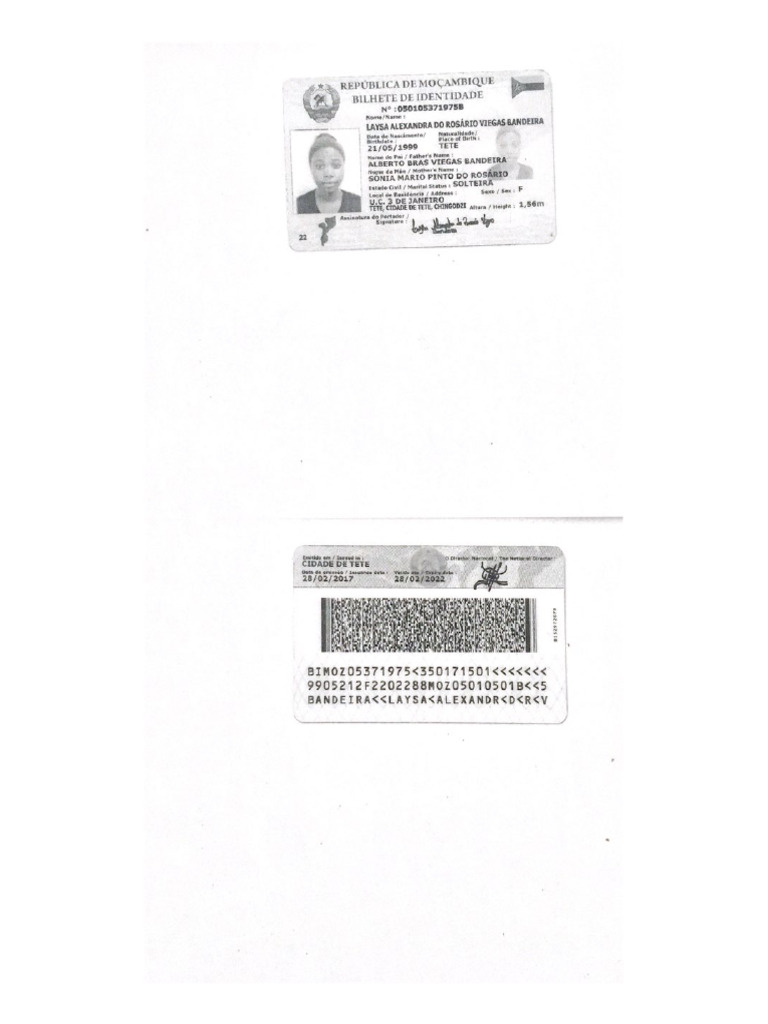 Curriculum Vitae Laryzen | PDF