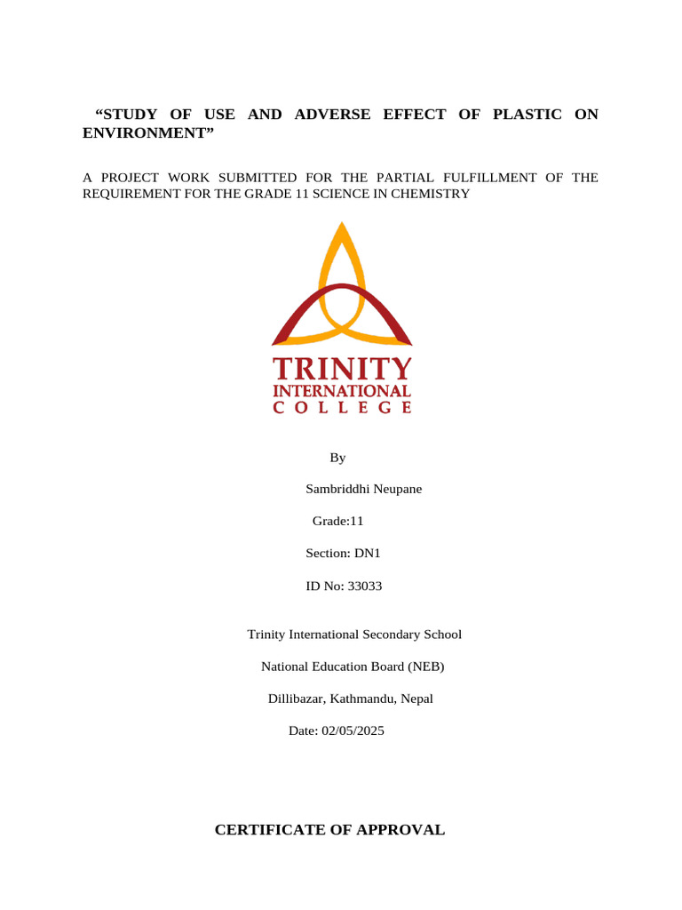 Chemistry Plastics Project | PDF | Plastic | Thermoplastic