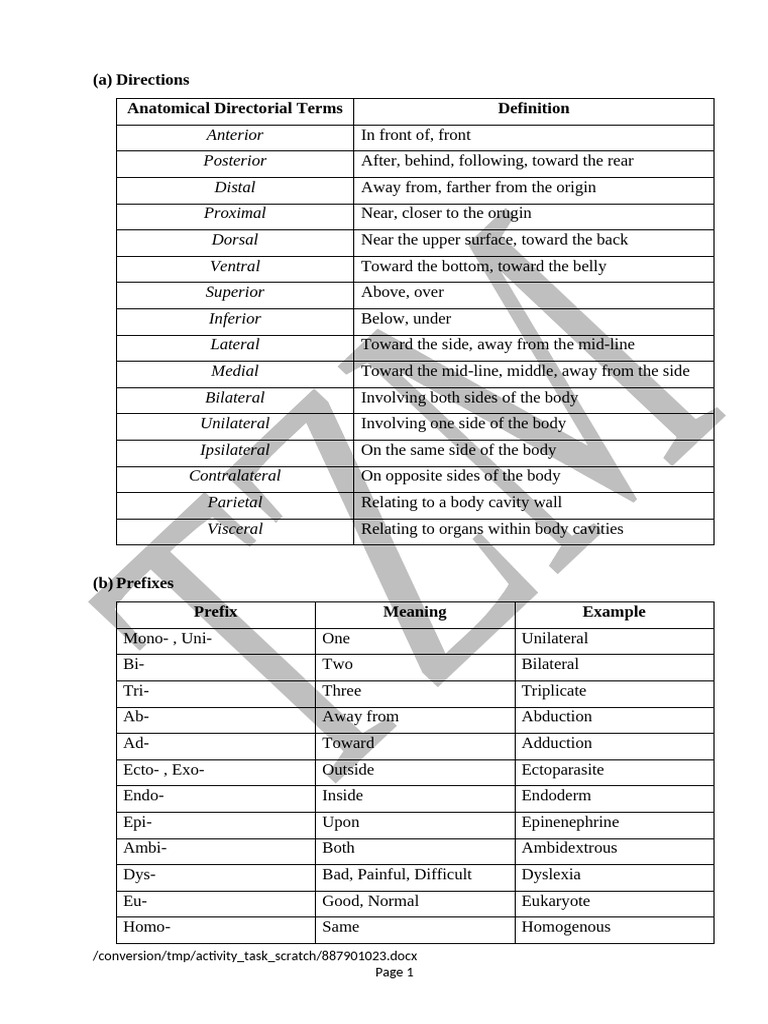 00 Basic Anatomy & Physiology (Table) | PDF | Human Body | Animal Anatomy