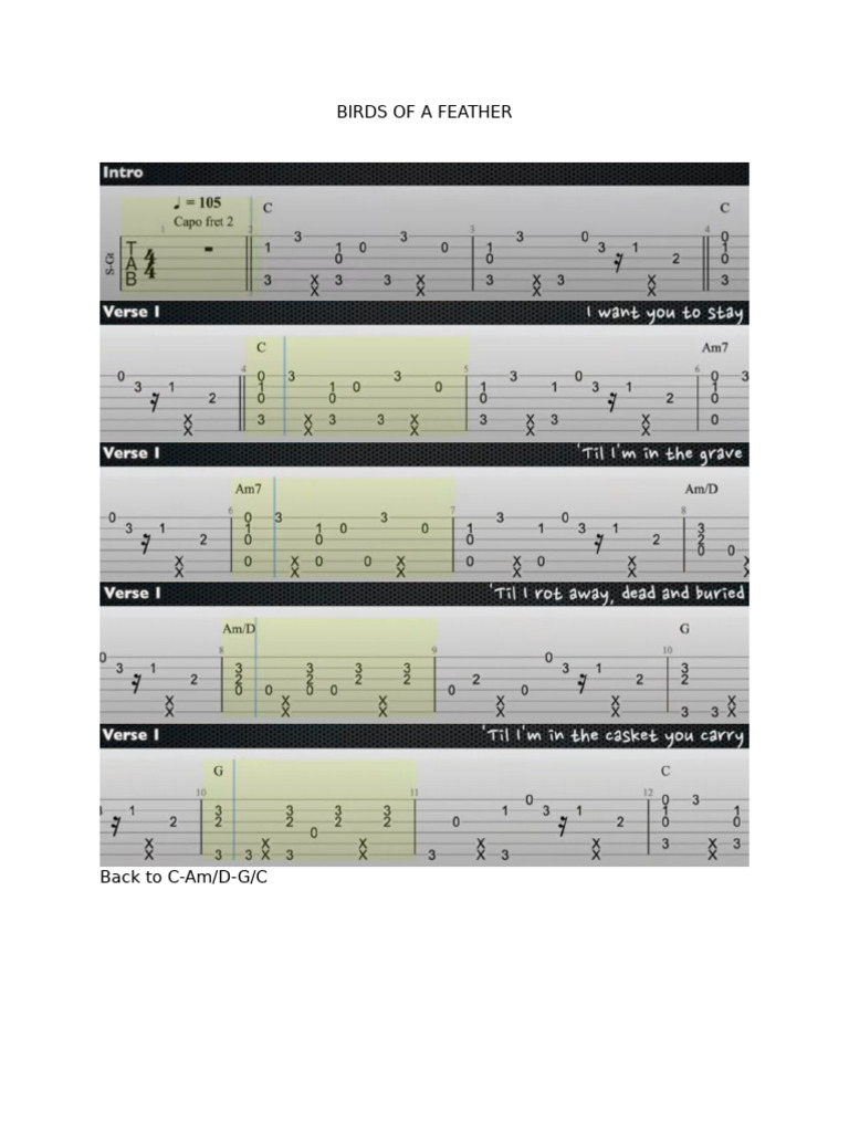 BIRDS OF A FEATHER Guitar Tab | PDF