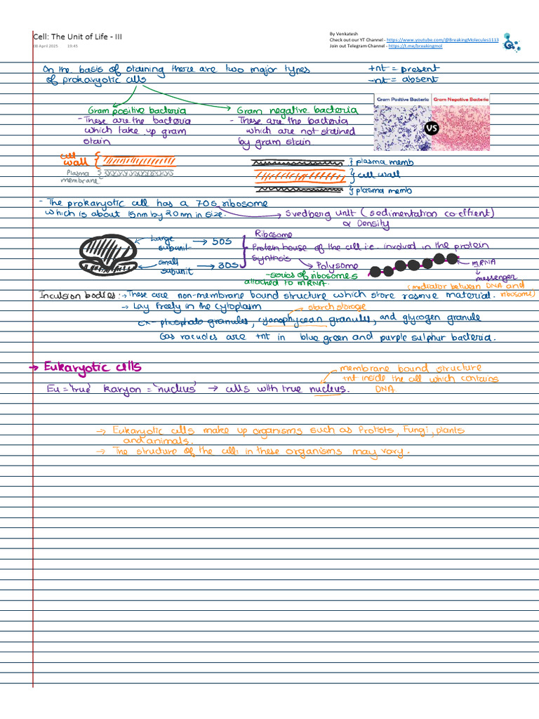 Ribosomes and Inculsion Bodies | PDF