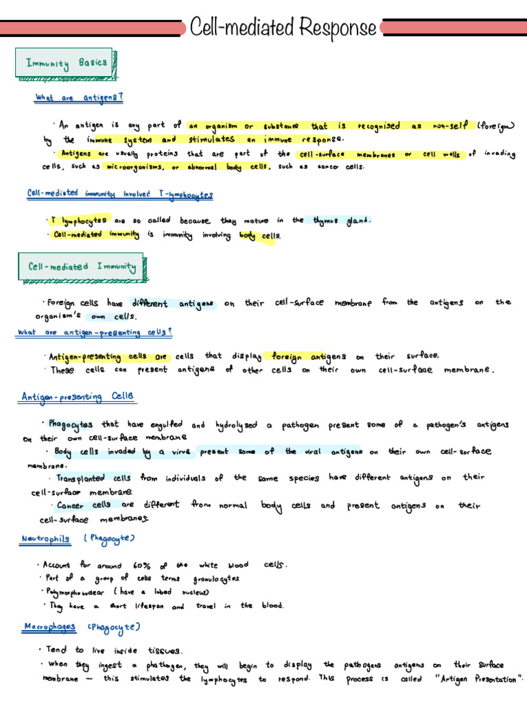 Cell Mediated Response - FactRecall | PDF | Phagocyte | Immune System
