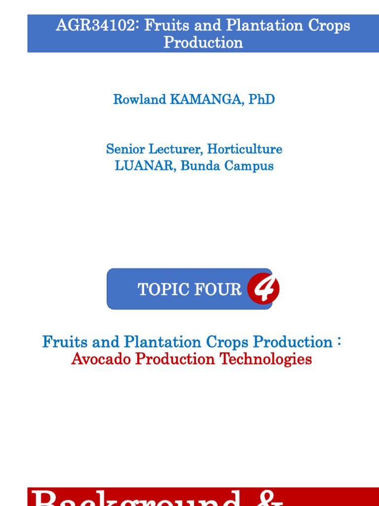 Avocado Production Technologies | PDF | Pruning | Avocado