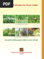 Avocado Ripeness Stages Guide | PDF | Avocado | Edible Fruits