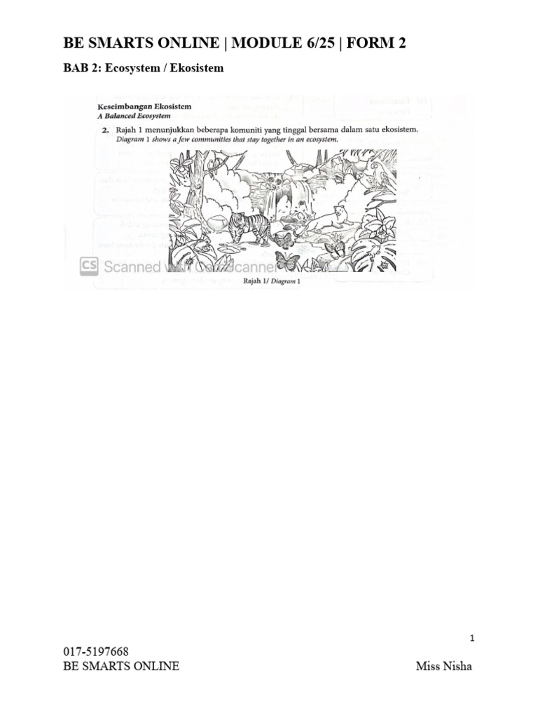 Ecosystem Interactions Explained | PDF