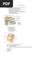 Cervical Lymph Node Mapping Guide | PDF