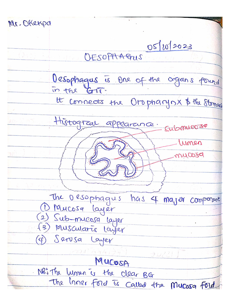 Practical Histo | PDF