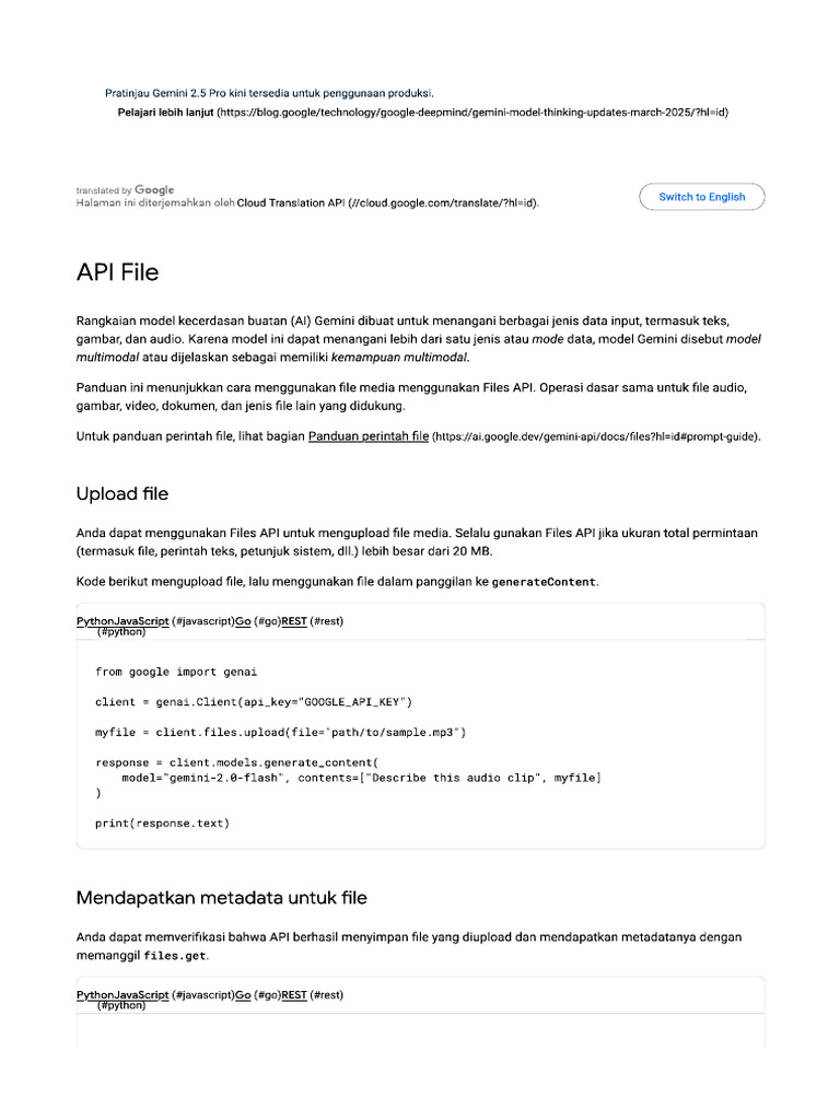 API File - Gemini API - Google AI For Developers | PDF