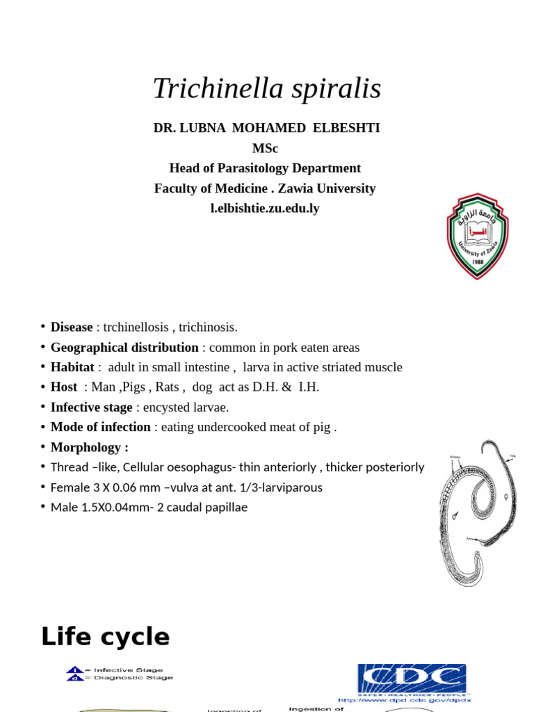 Trichinella Spiralis | PDF | Clinical Medicine | Diseases And Disorders