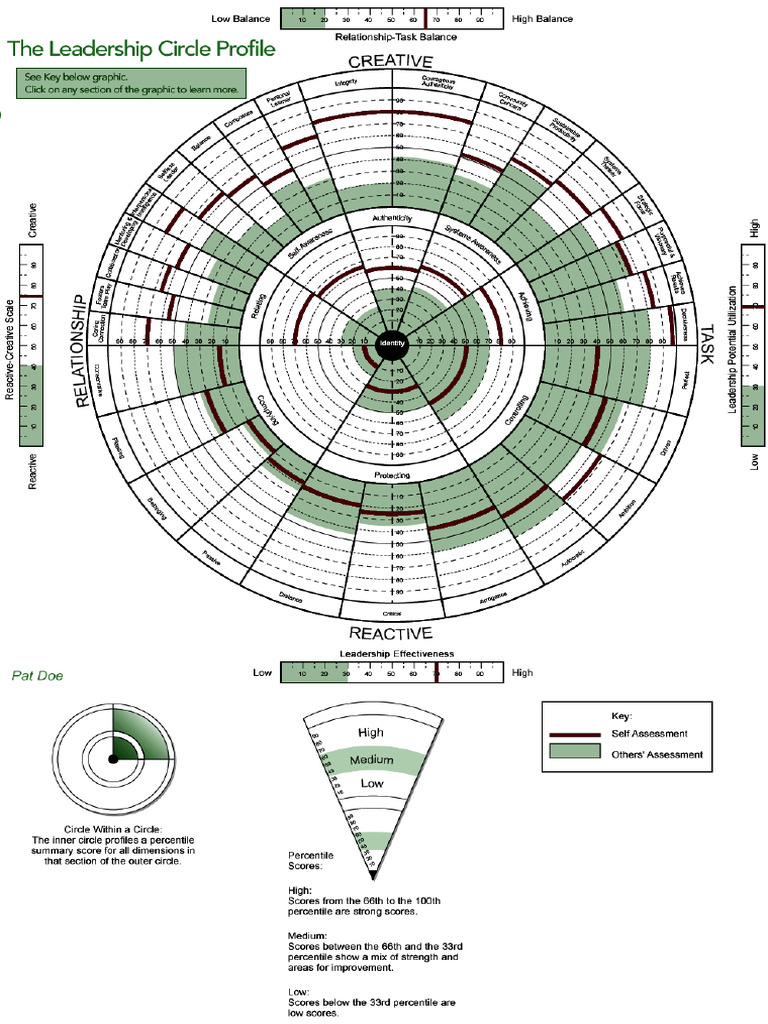 Leadership Circle Profile | PDF