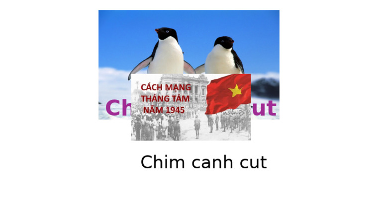 Chim Canh Cut | PDF