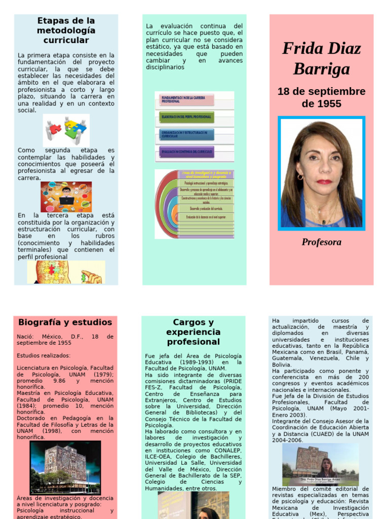 Tríptico de Frida Diaz Barriga | PDF | Sicología | Universidad