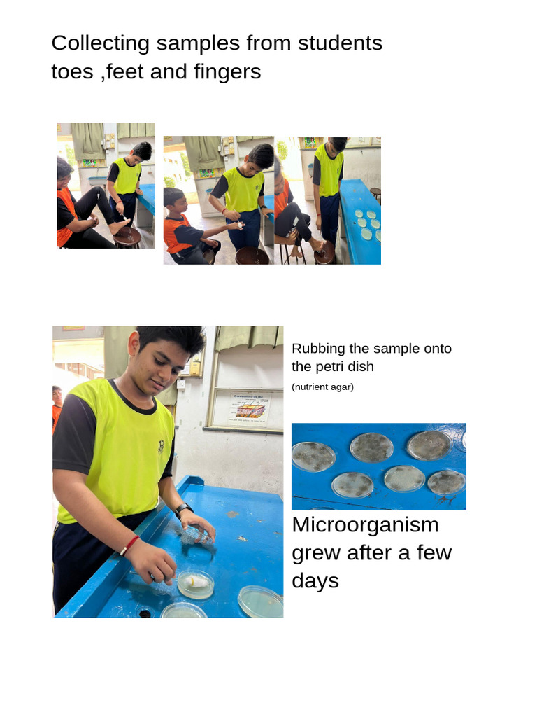 Collecting Samples From Students Toes, Feet and Fingers 1 | PDF ...