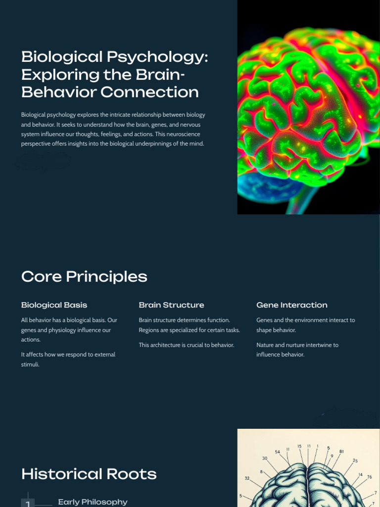 Biological Subfields (Psychology) | PDF | Neuroscience | Behavioral ...