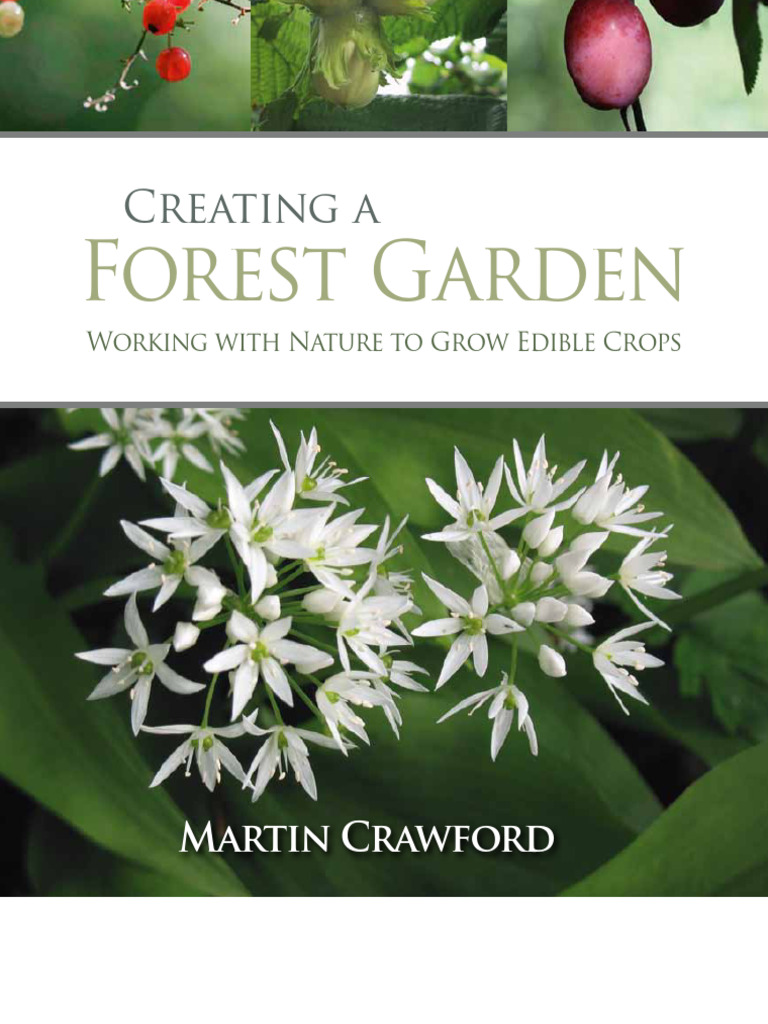 Creating A Forest Garden | PDF | Trees | Grafting
