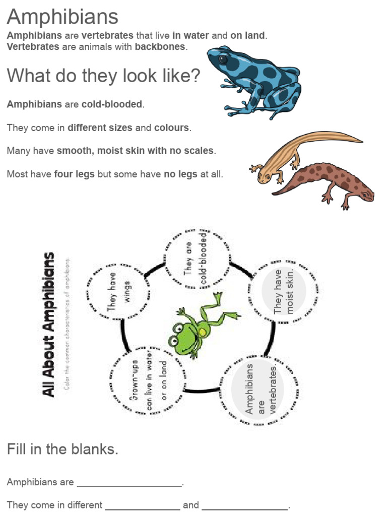 Note of Amphibians | PDF