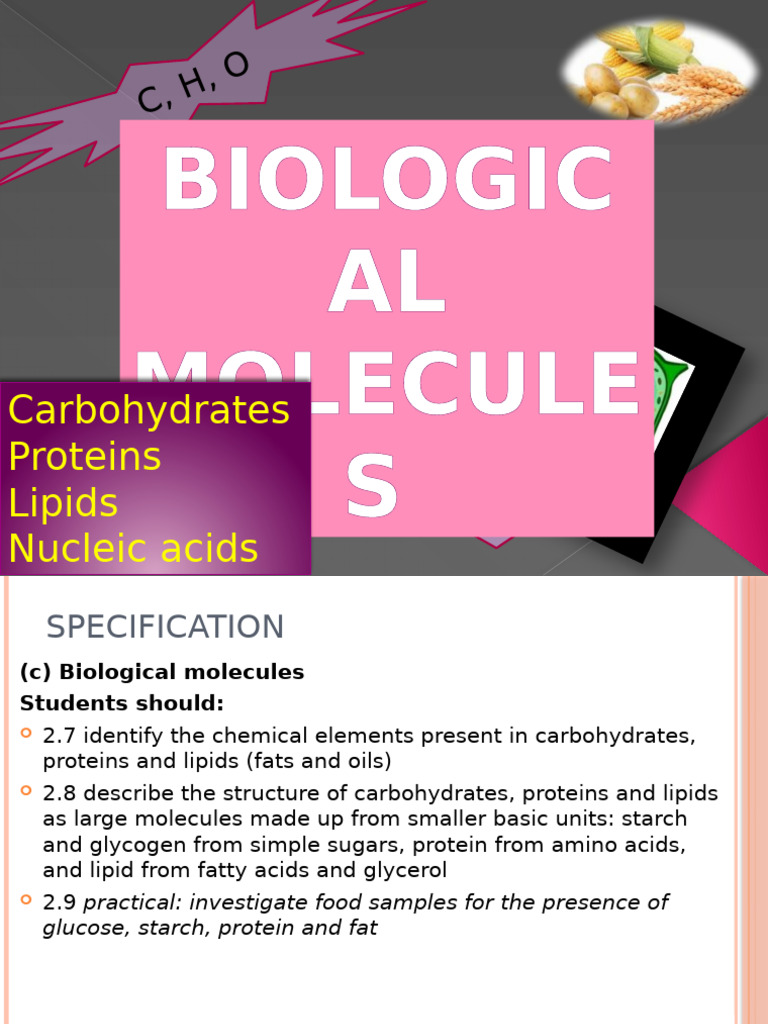 Overview of Biological Molecules | PDF | Carbohydrates | Nucleotides