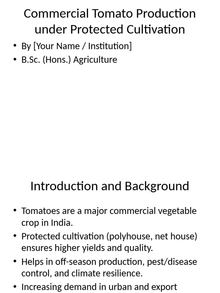 Commercial Tomato Protected Cultivation | PDF