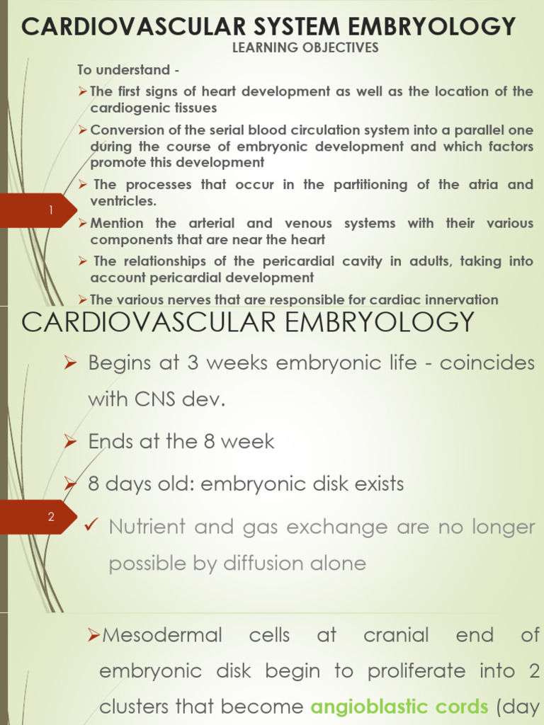 Cardiovascular System Embryology (1) | PDF | Heart Valve | Atrium (Heart)