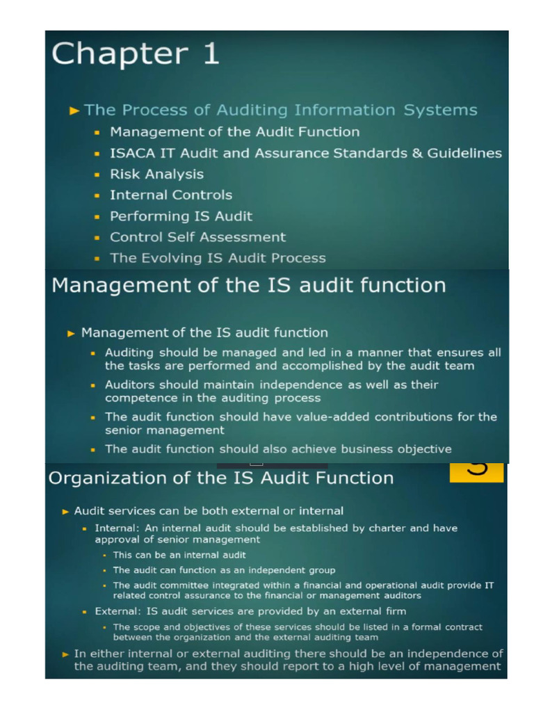IT Domain-01 CISA - CA Professional Level | PDF