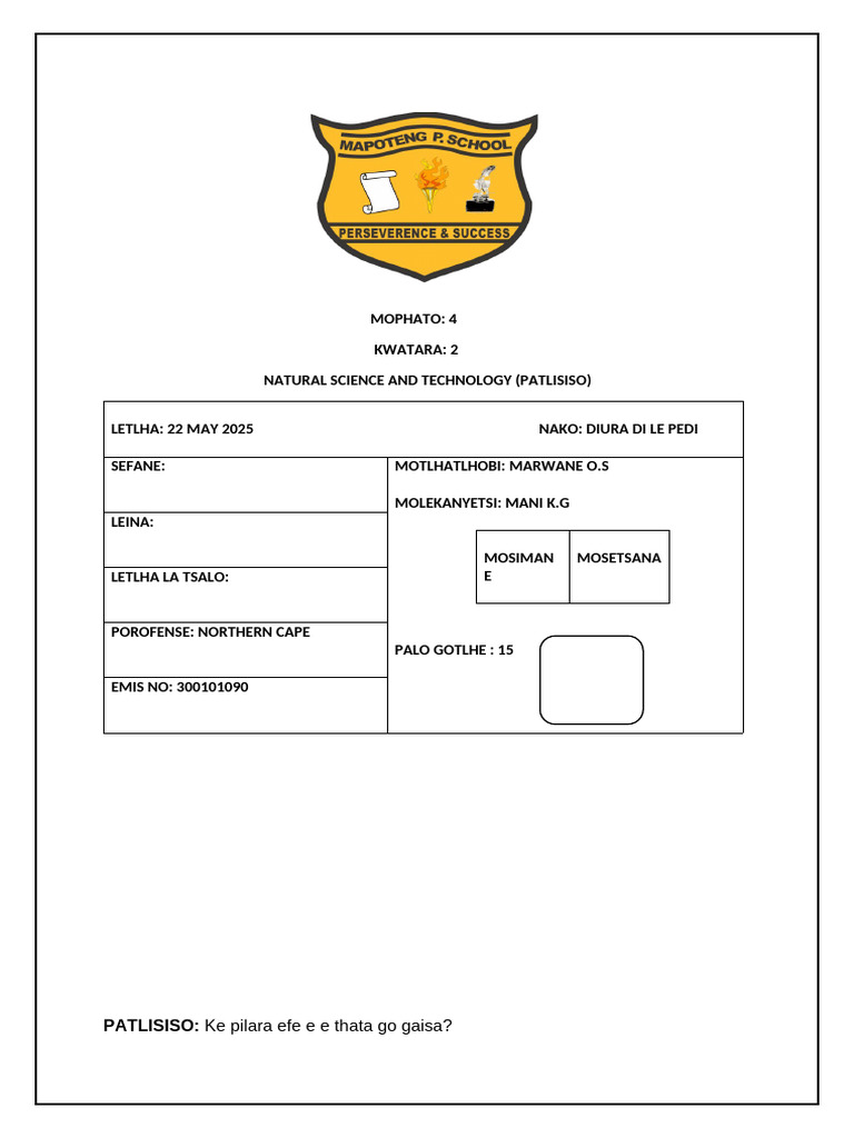 Practical Term 2 | PDF