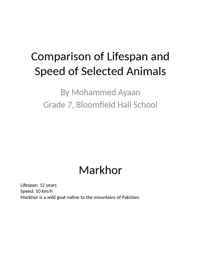 Animal Comparison Presentation | PDF