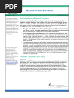 Wallace Rule of Nines for Burn Assessment | PDF | Burn | Intravenous ...