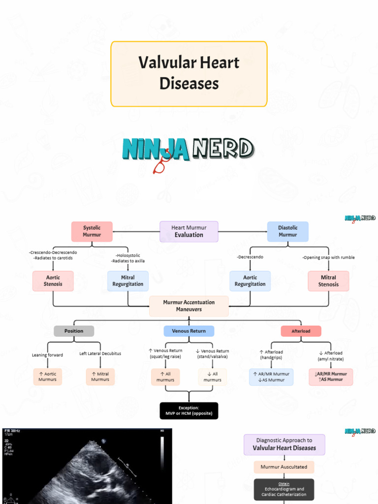 9 - Valvular Heart Diseases (Slides) | PDF | Heart | Cardiovascular System