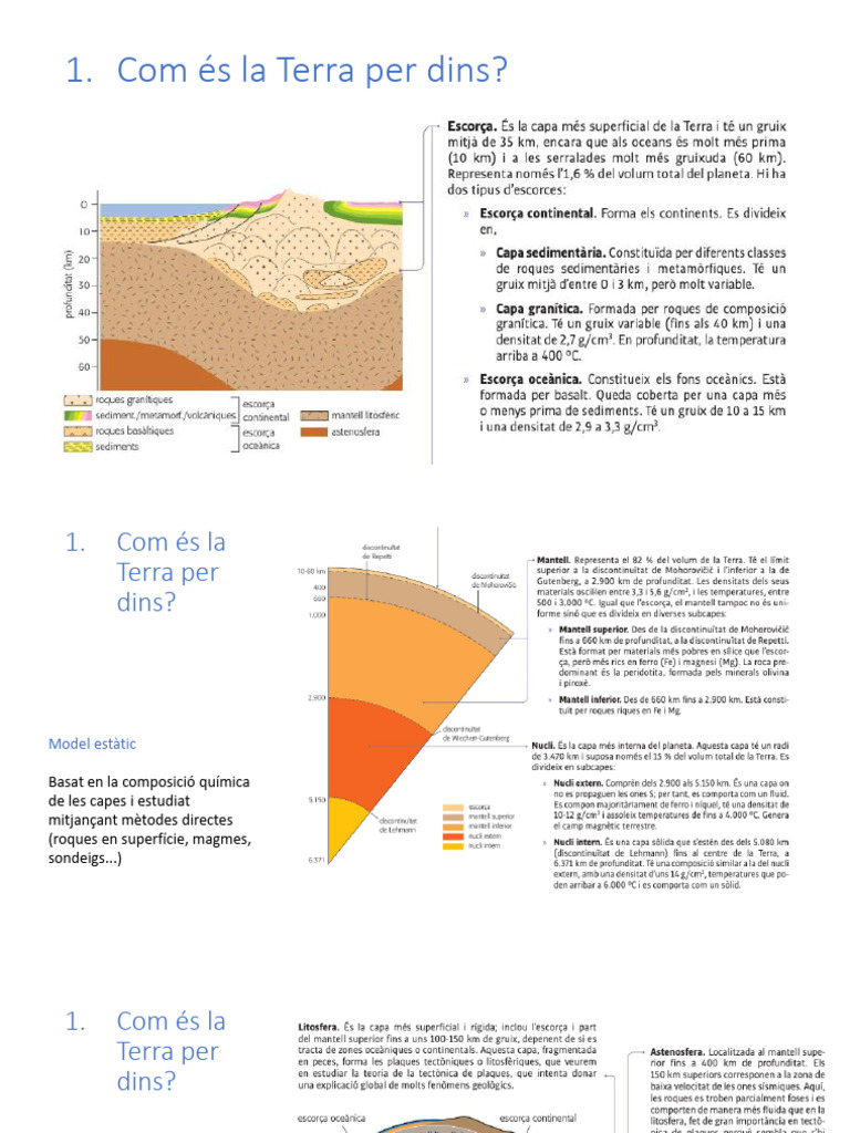 Model Estàtic Vs Dinàmic | PDF