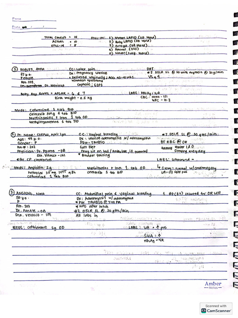 Deiparine - Handover Endorsement | PDF