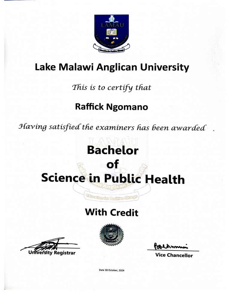 Bachelor's Degree in Public Health | PDF