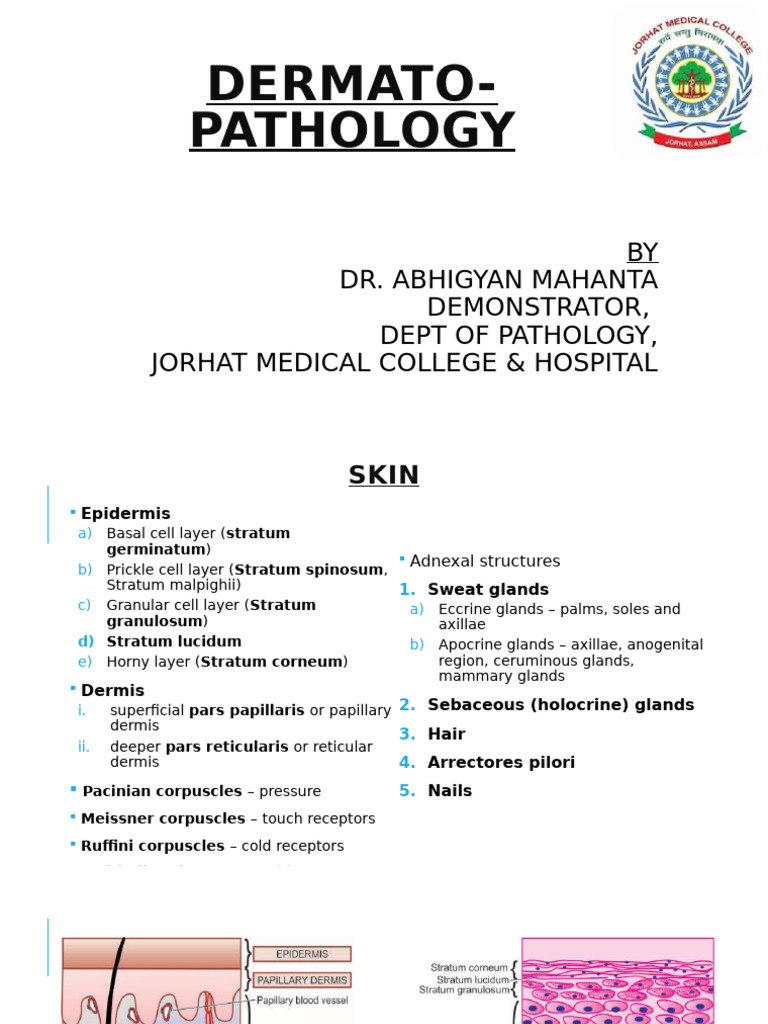Unit XVIII Dermato Pathology | PDF | Melanoma | Skin