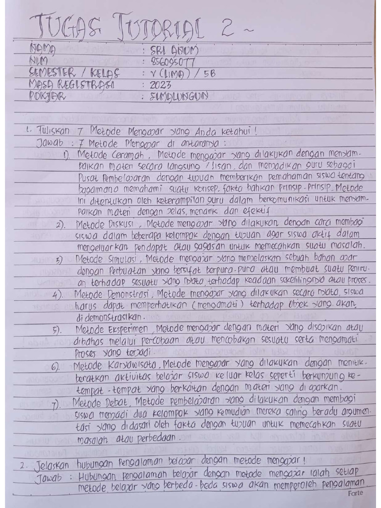 TT2 - Strategi Pembelajaran - Sri Anum | PDF