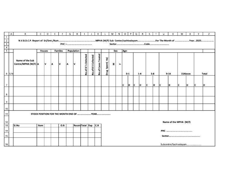 NVB DCP Monthly Report 2025 | PDF