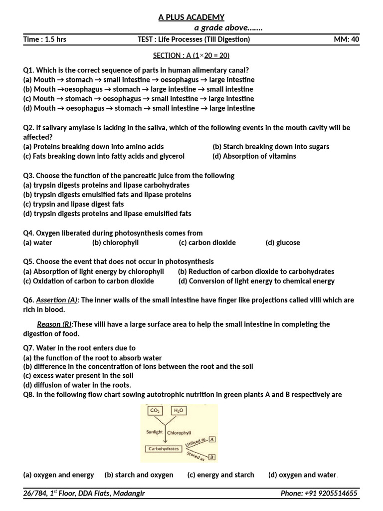 Life Processes Test: Digestion & Nutrition | PDF | Digestion | Biology