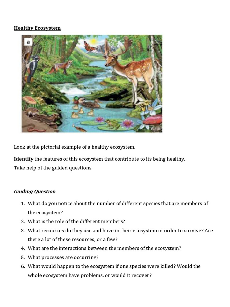 Healthy Ecosystem | PDF