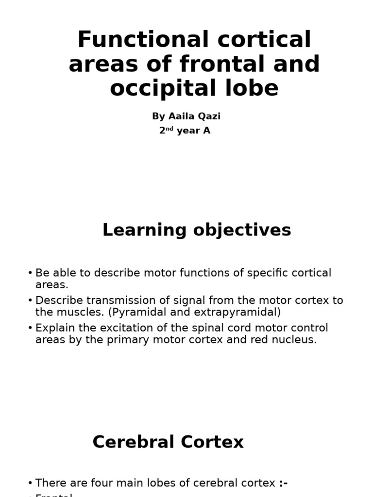 Functional Cortical Areas of Frontal and Occipital Lobe | PDF