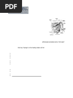 MOON Post-Operative Rotator Cuff Repair Immediate Therapy Protocol ...