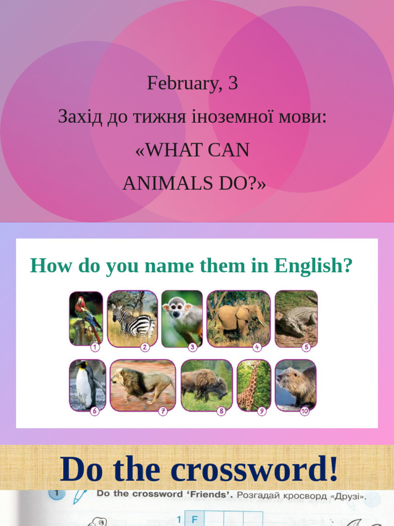 2 клас What can animals do - | PDF