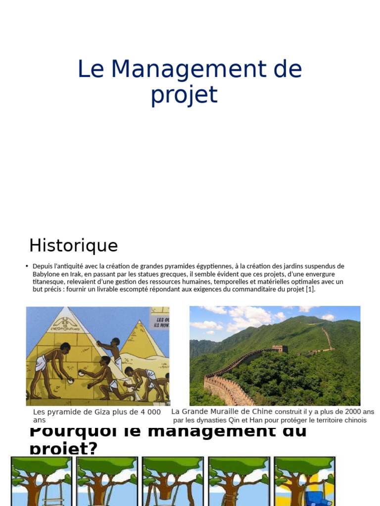 Introduction au Management de Projet | PDF | Gestion de projet