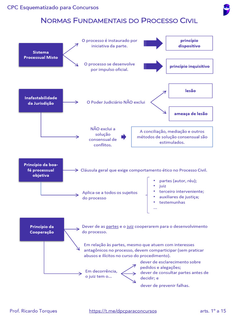 CPC Esquematizado - 1 A 15 - Normas Fundamentais Do Processo Civil | PDF | Processo civil ...