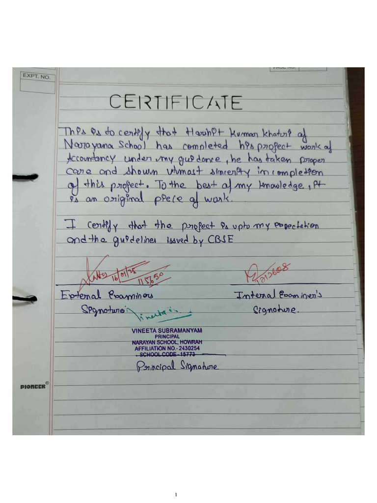 Accountancy Projects | PDF