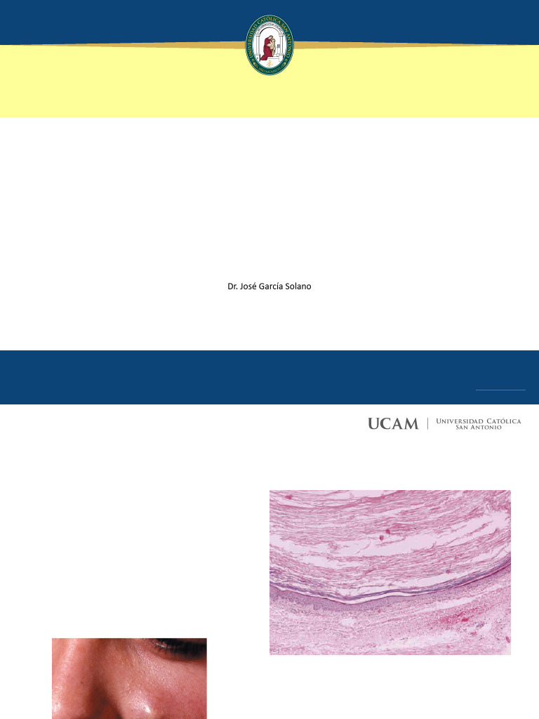 Apa.+PrÁctica 3ppt | PDF | Biopsia | Dermatología