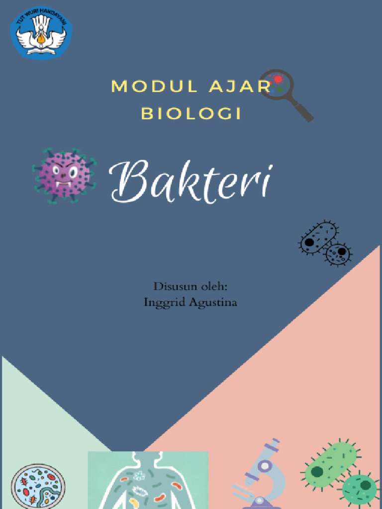 Inggrid Agustina Modul Ajar Bakteri X | PDF